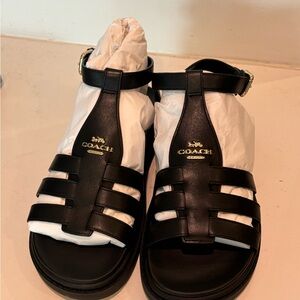 Coach | Shoes | Coach Franny Sandal | Poshmark